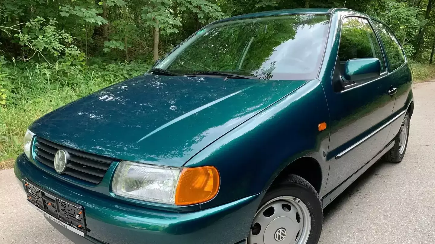 Polo 6n Grn